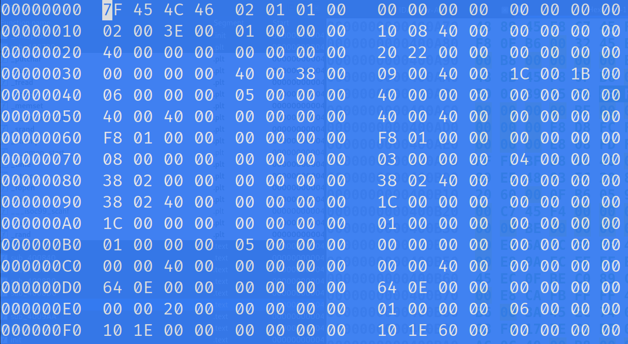 Reverse Engineering Challenge - Find the Secret Flag