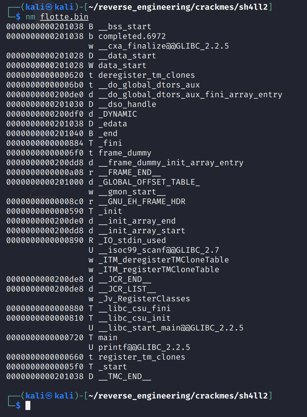 Reverse Engineering Challenge - Flotte