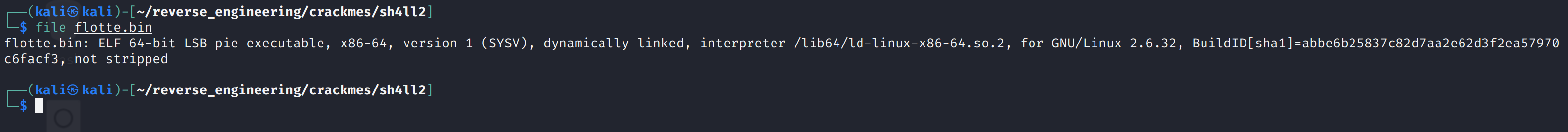 Reverse Engineering Challenge - Flotte