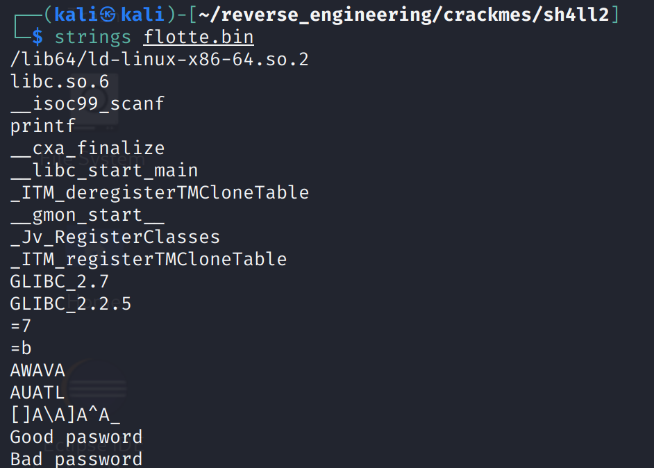 Reverse Engineering Challenge - Flotte